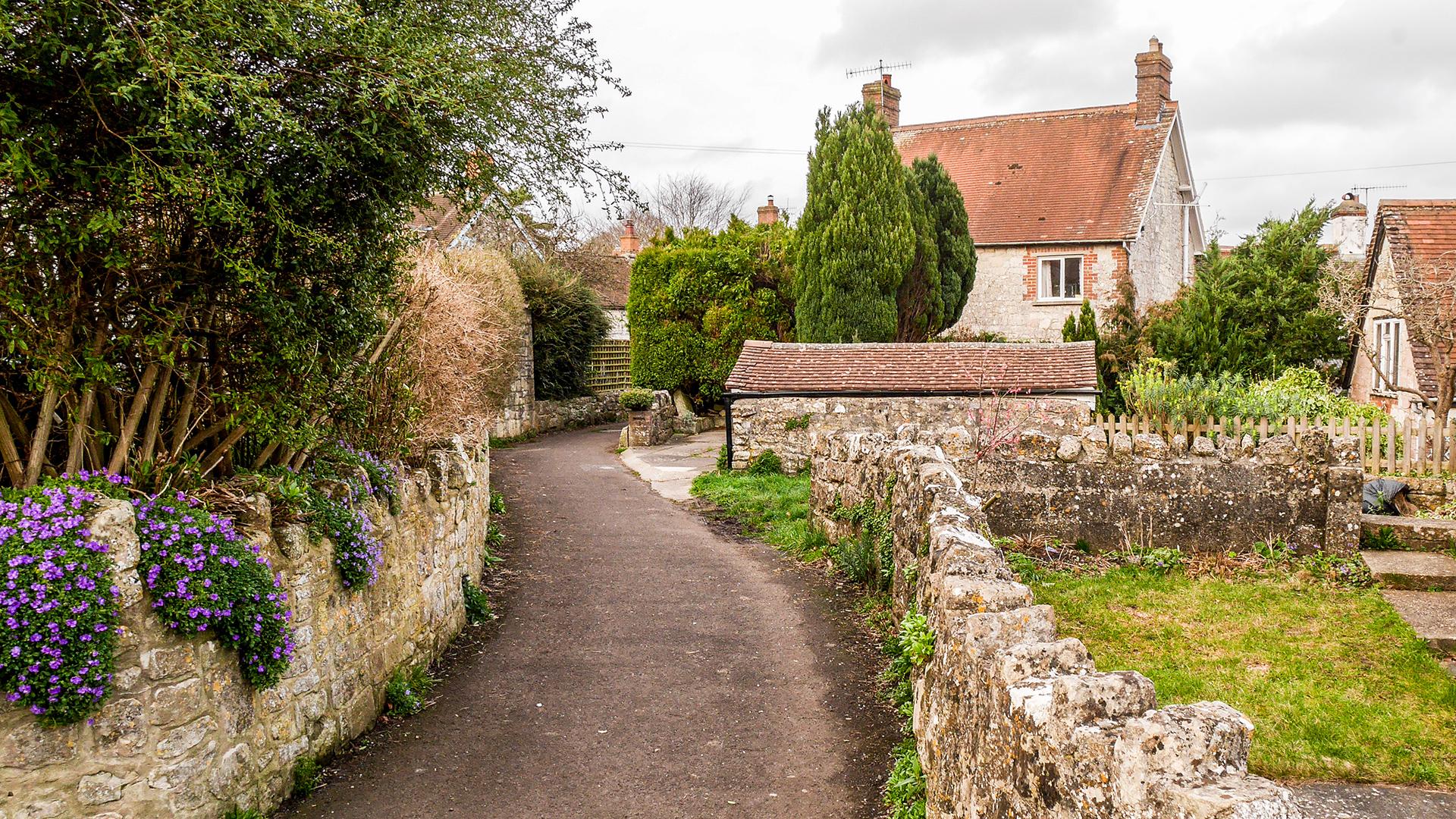 Image Gallery - Tisbury Wiltshire Parish Council